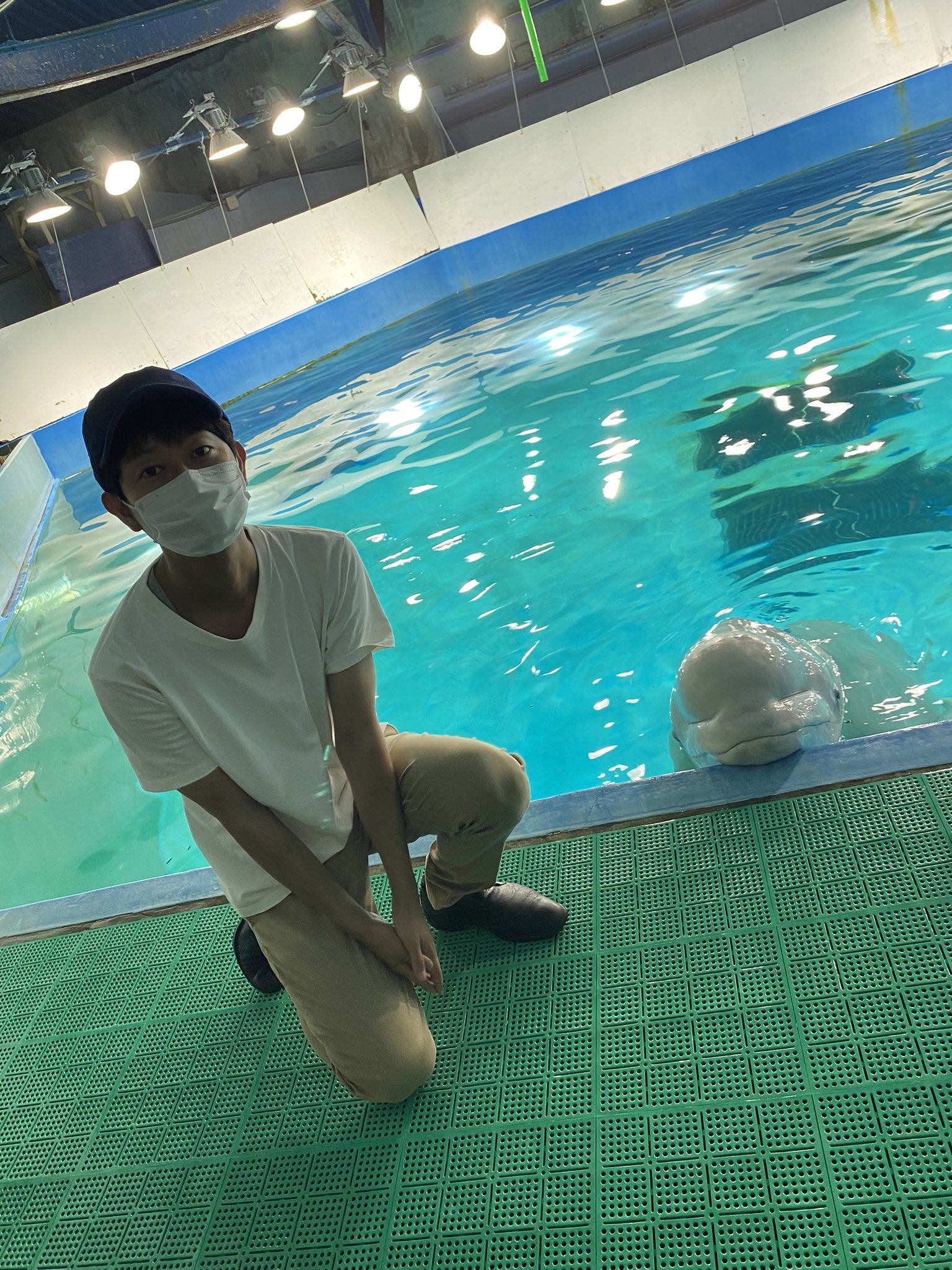 レンタルなんもしない人 On Twitter ベルーガ、同じ表情してくれた。 5whl1qpx05 Twitter