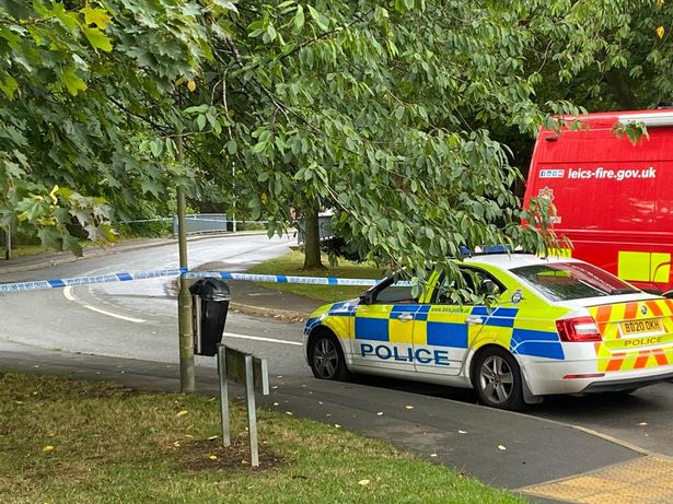 Woman 28 Dies After Village Hit And Run Sparking Murder Investigation