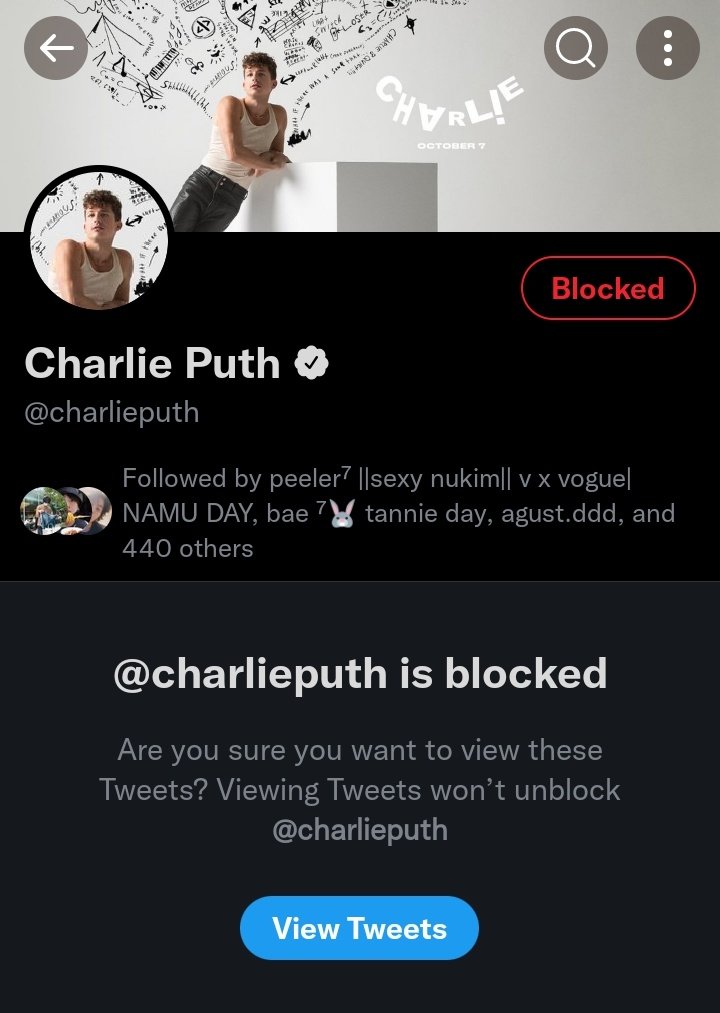 Sumsum⁷🍊ᵛ ˣ ᵛᵒᵍᵘᵉ ᵏ Sexy Nukim On Twitter Blocking Charlie Puth Because We Didnt Get Louder