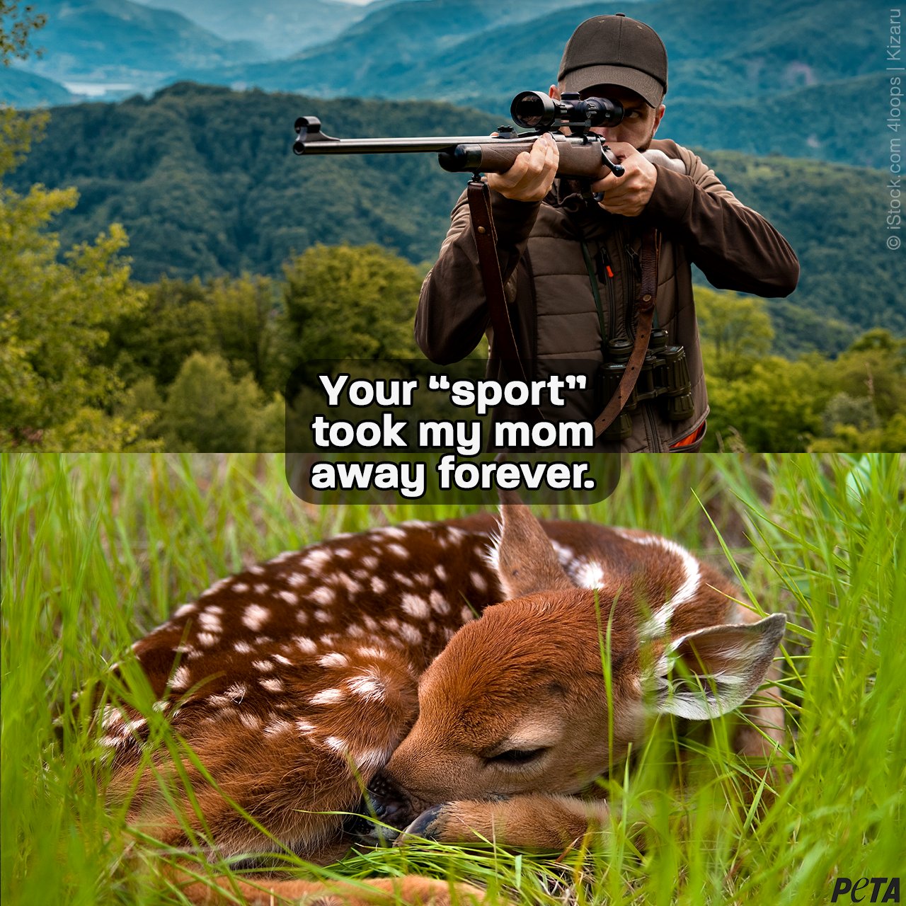 Peta Anti Hunting Quotes