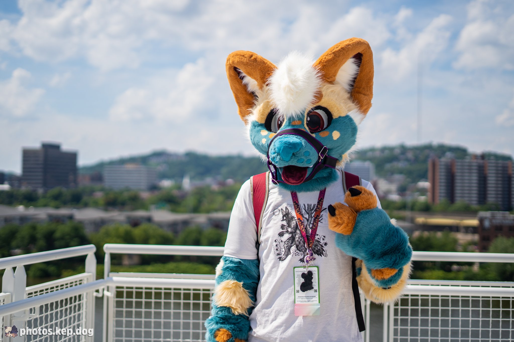 🌵Coyote Arcade🌵 on Twitter: "@Sleepy_Chi I'd LOVE to! Recent wild doggie iv made https://t.co ...