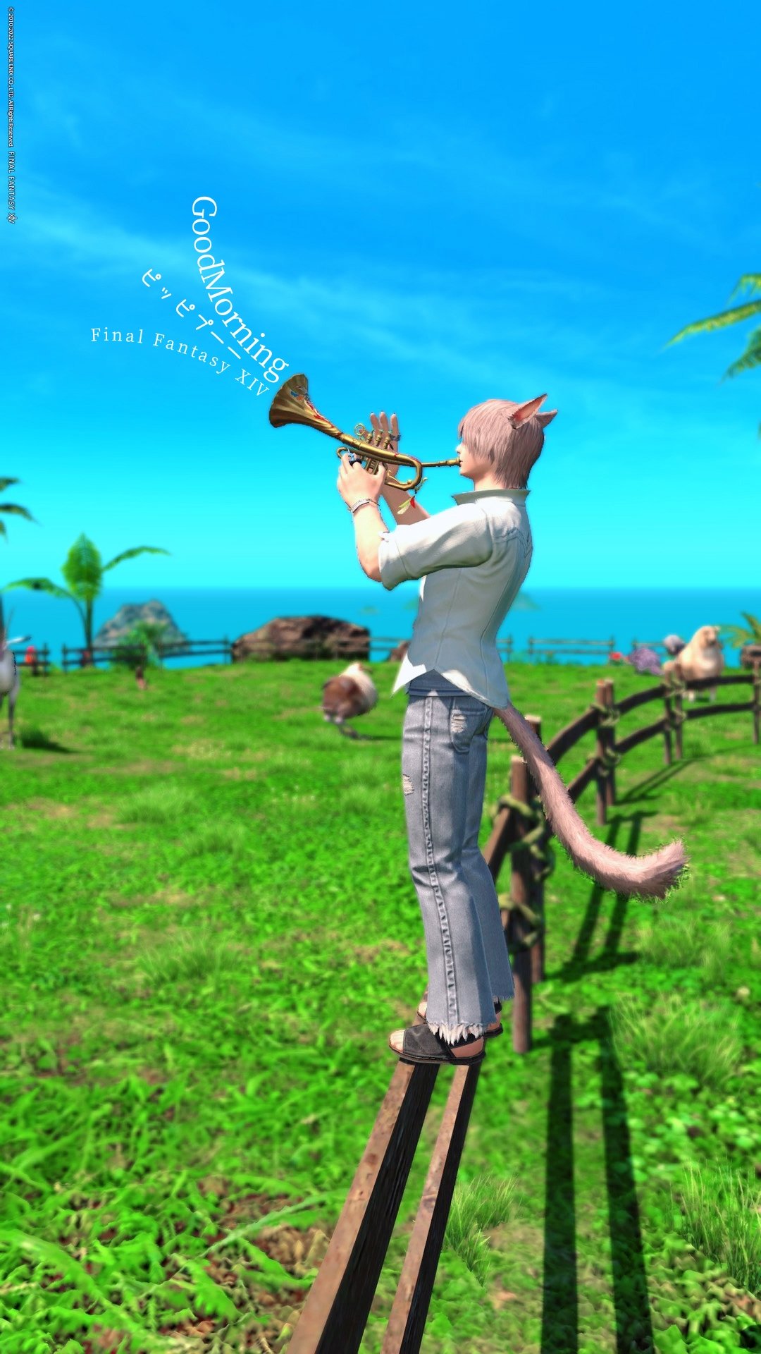 チロ FF14*𝕆𝕣𝕚𝕠𝕟 on Twitter: "おはようございます！ 皆～ご飯だよー🎺 私も動物に囲まれて過ごしたい(*´ｰ`*)モフモフ癒し 𓈒𓐍♡ さぁ週後半木曜日！本日も元気に行っ ...
