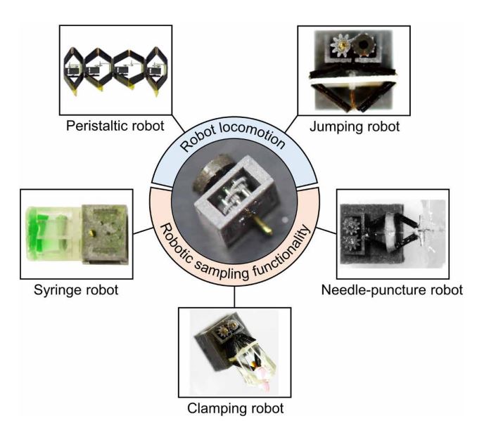 Science Magazine on Twitter: "A new miniature magnetic gearbox can amplify torque and actuation ...