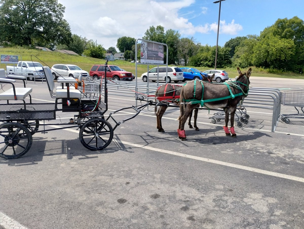 Thread by @JeffAndDonkeys on Thread Reader App – Thread Reader App