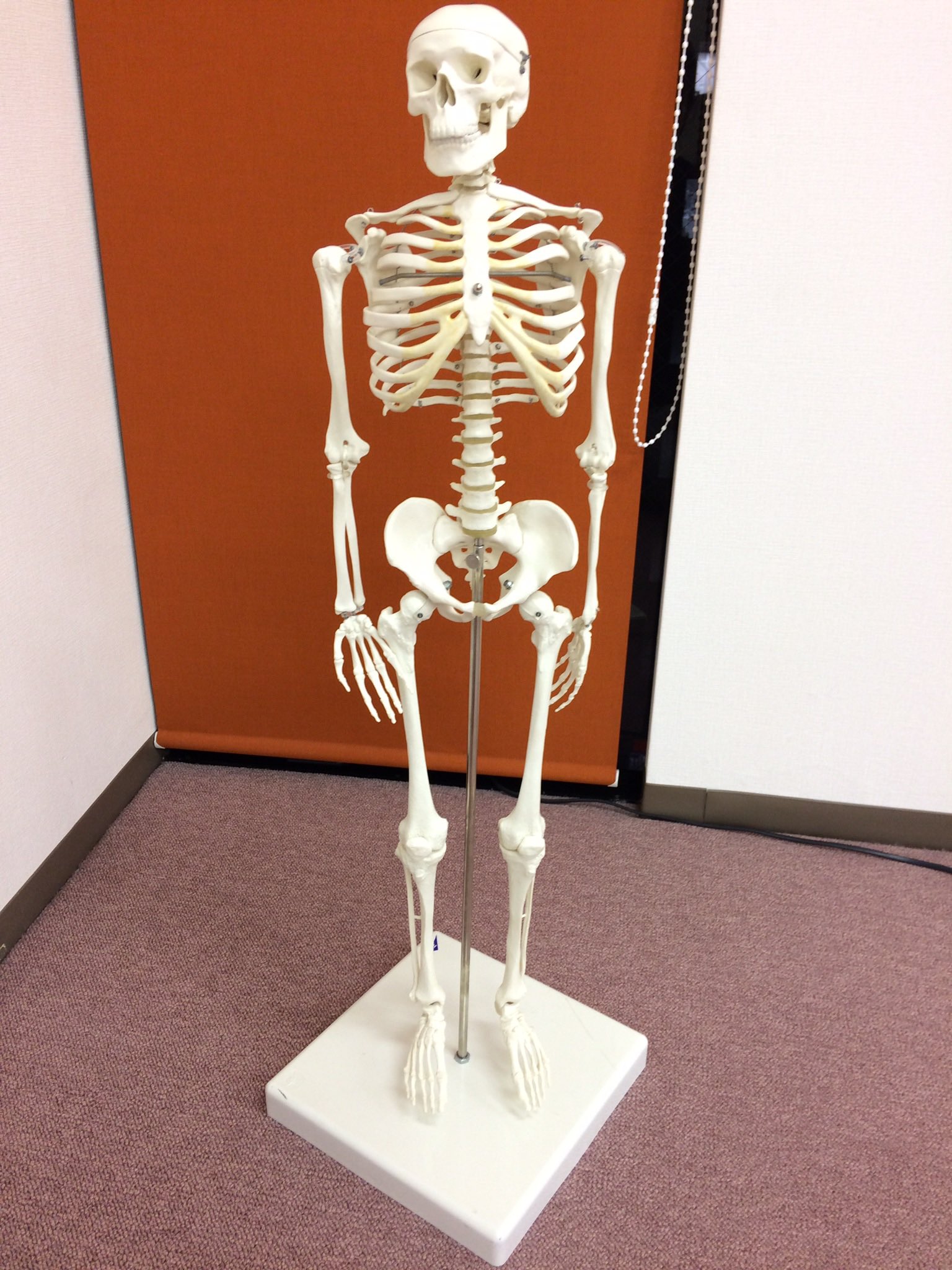 SOYU (@SOYU_salon) / Twitter