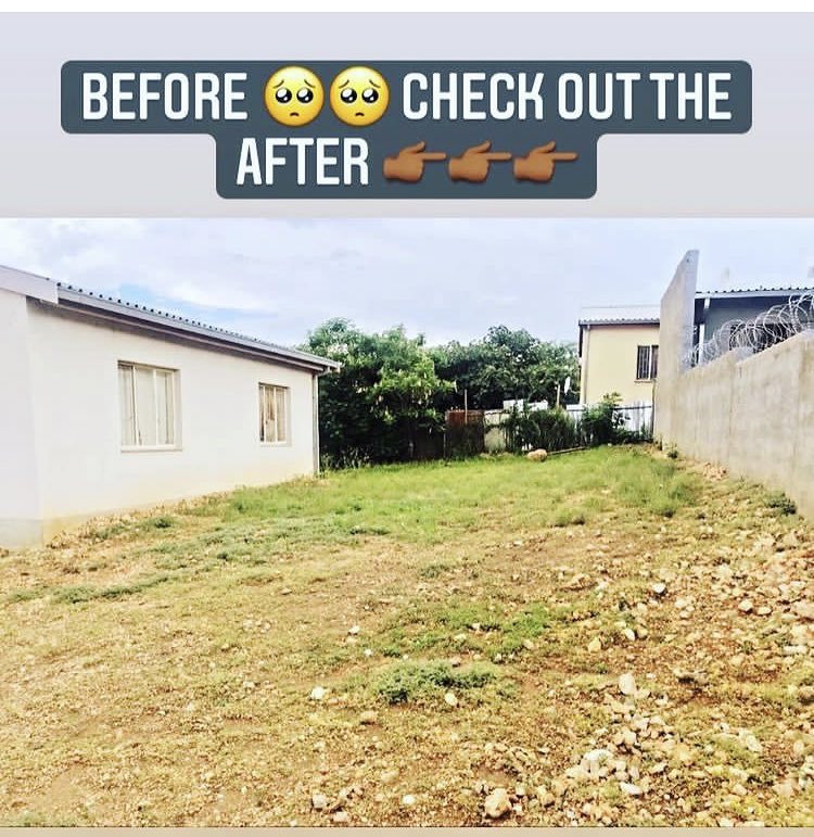 Bizarre Spilako on Twitter: "RT @peya_hero: Give your yard utmost care with PH cleaning services ...