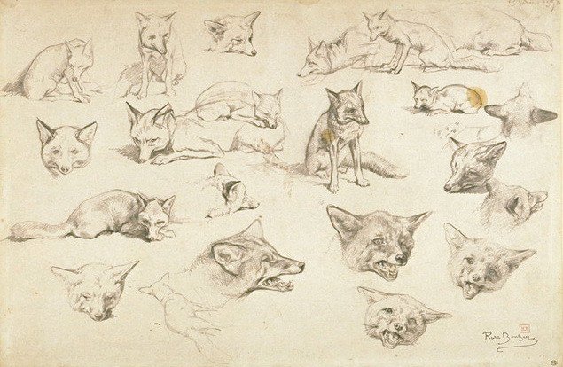 #WOMENSART on Twitter: "'Fox sketches' by Rosa Bonheur (1822-1899), a ...