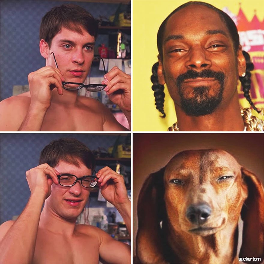Snoop Dog Meme