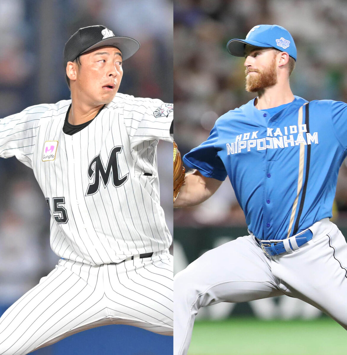 スポーツ報知 on Twitter: "ロッテ・ #美馬学 -日本ハム・メネズ…スタメン発表 https://hochi.news/articles/20220907-OHT1T51162 ...