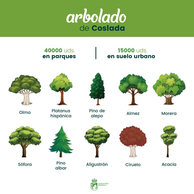 Details 48 Nombre De 10 árboles Abzlocal Mx
