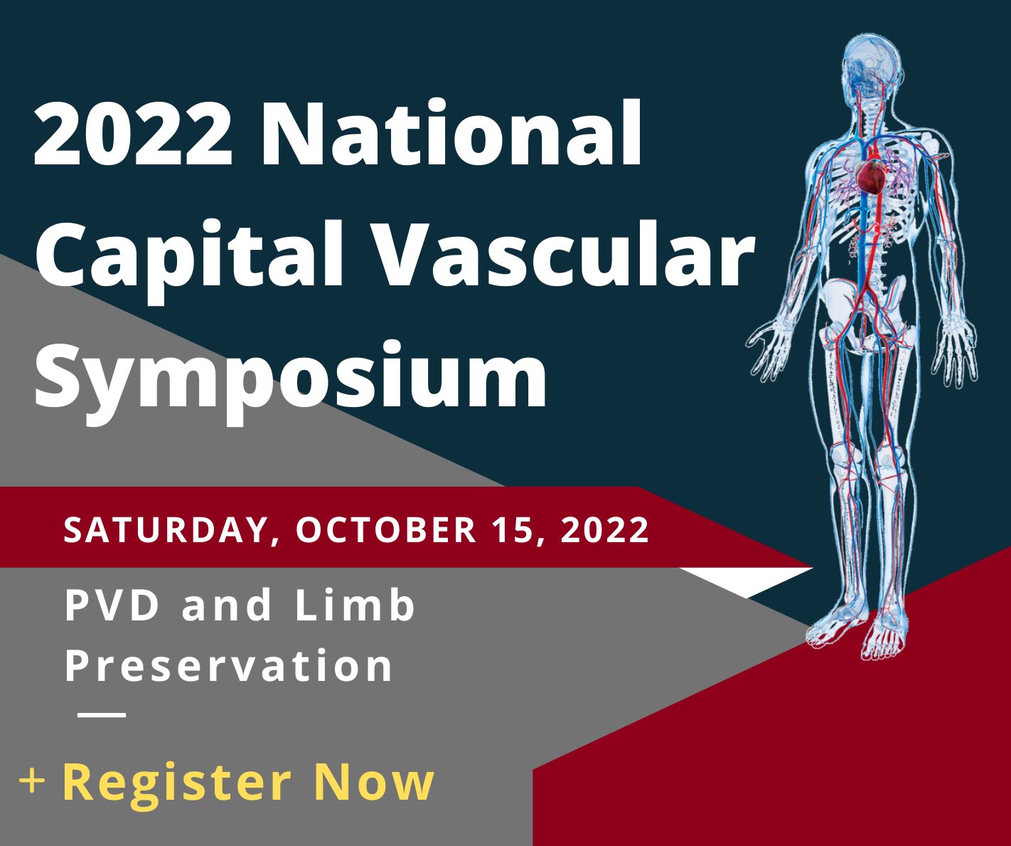 UofT Vascular Surgery on Twitter: "Join us for the 2022 National Capital Vascular Symposium on ...