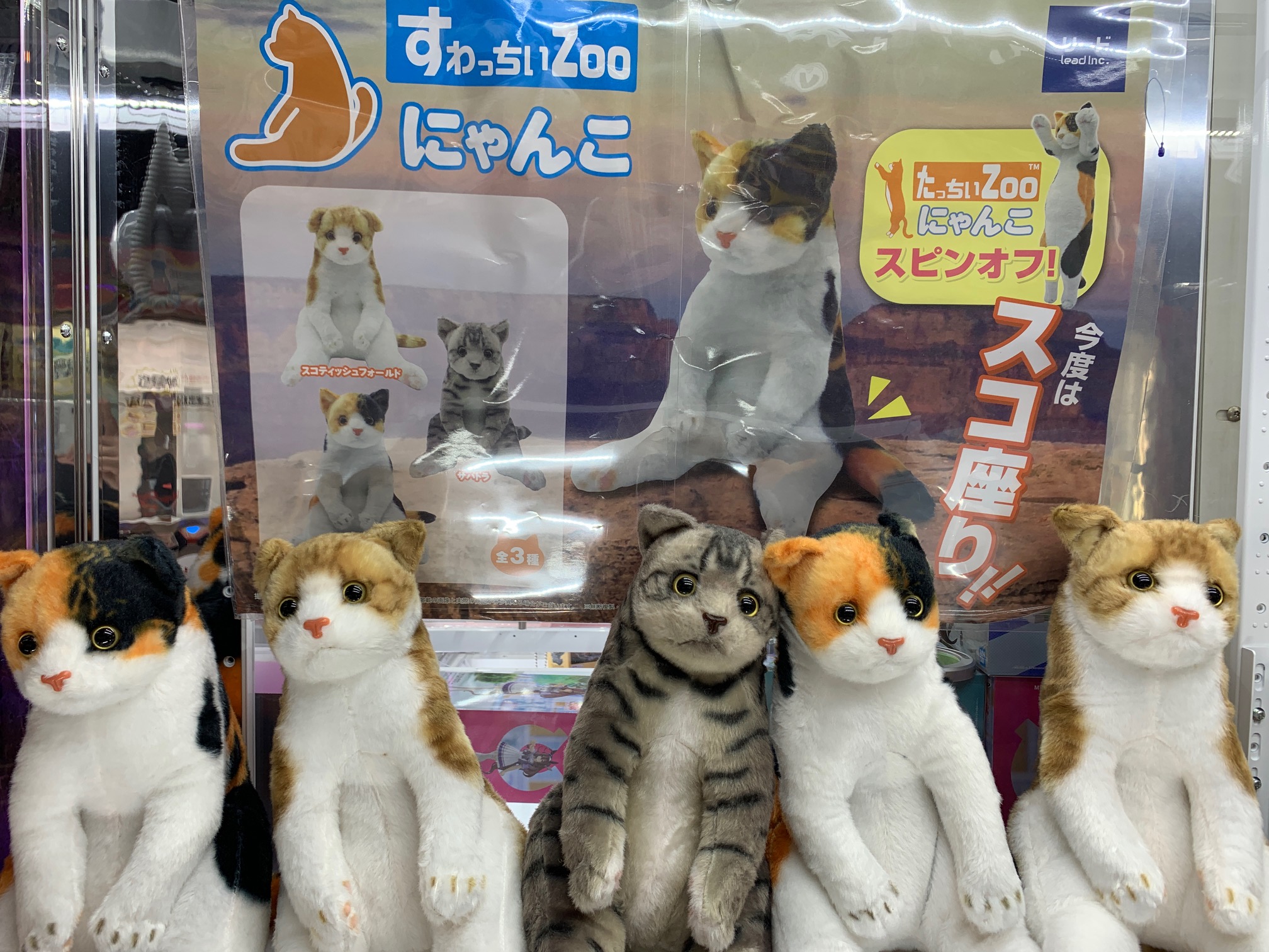 ファンファン越谷店 (@funfunkoshigaya) / Twitter