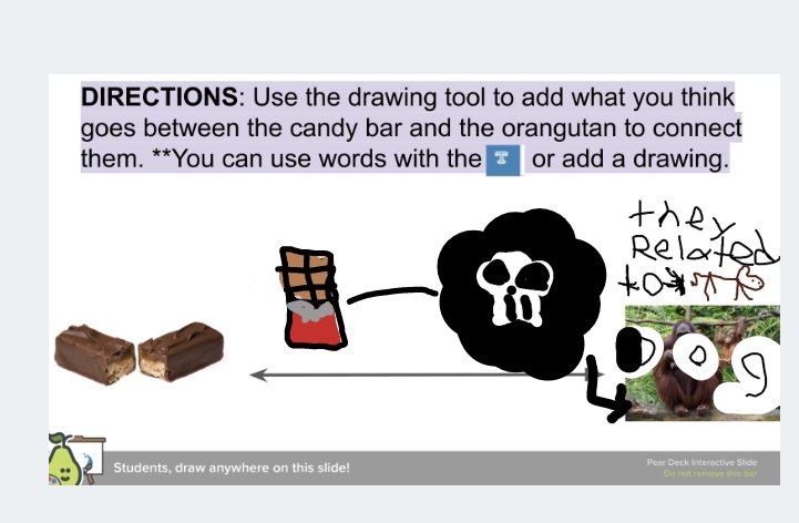 Pear Deck (@PearDeck) / Twitter