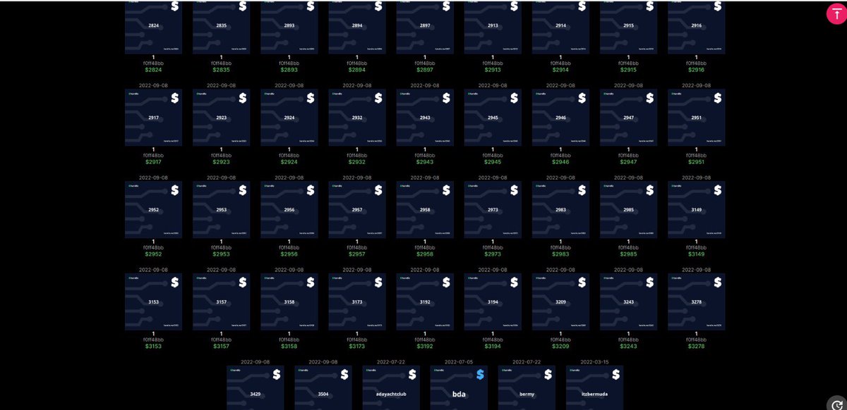 İtz Bermuda 👑 $67 on Twitter: "Ended up grabbing 60 - 4 Digits last night to add to my ...