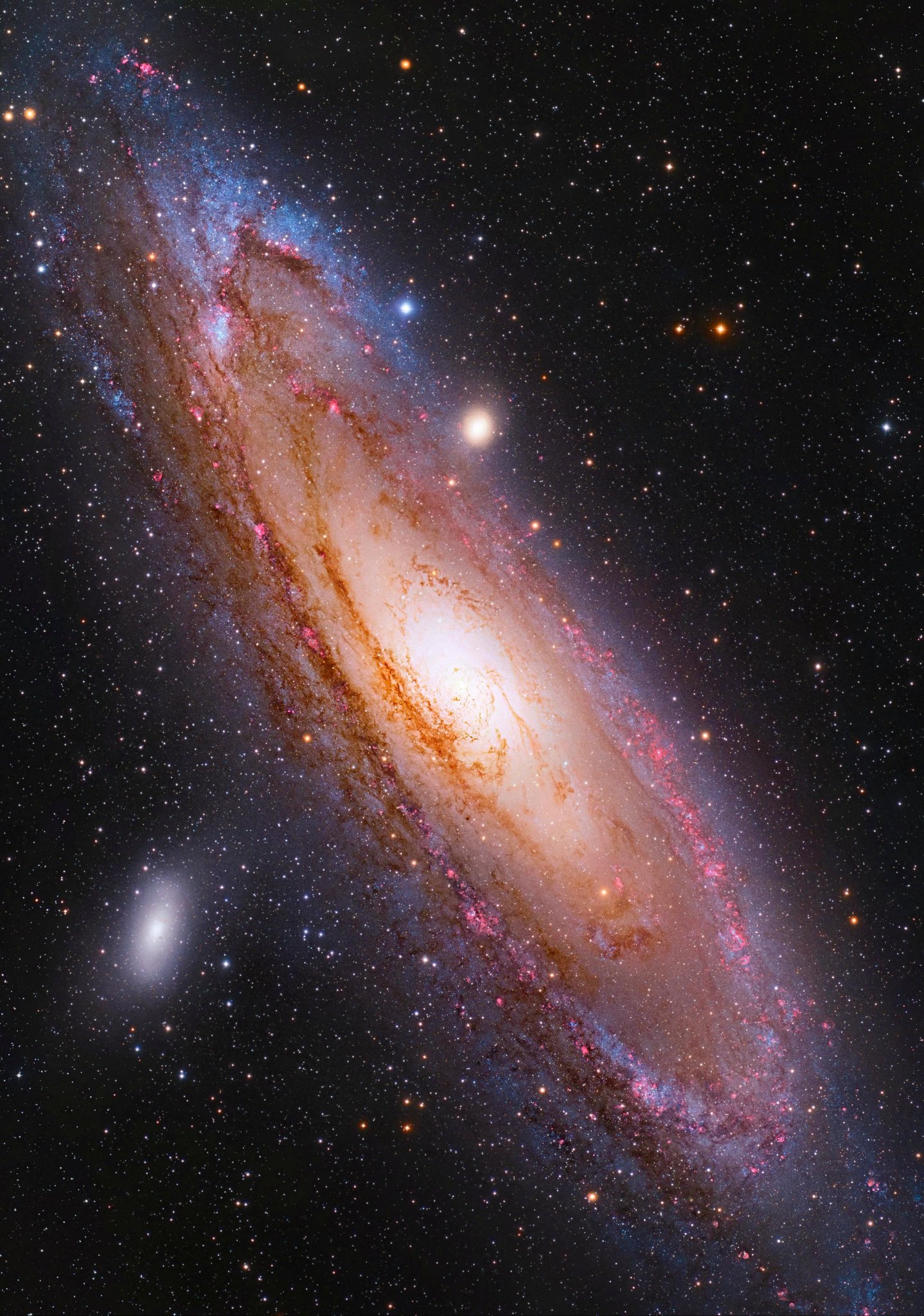 حيدرة Space 8K on Twitter: "The Andromeda galaxy https://t.co/LvjdpoTf3K" / Twitter