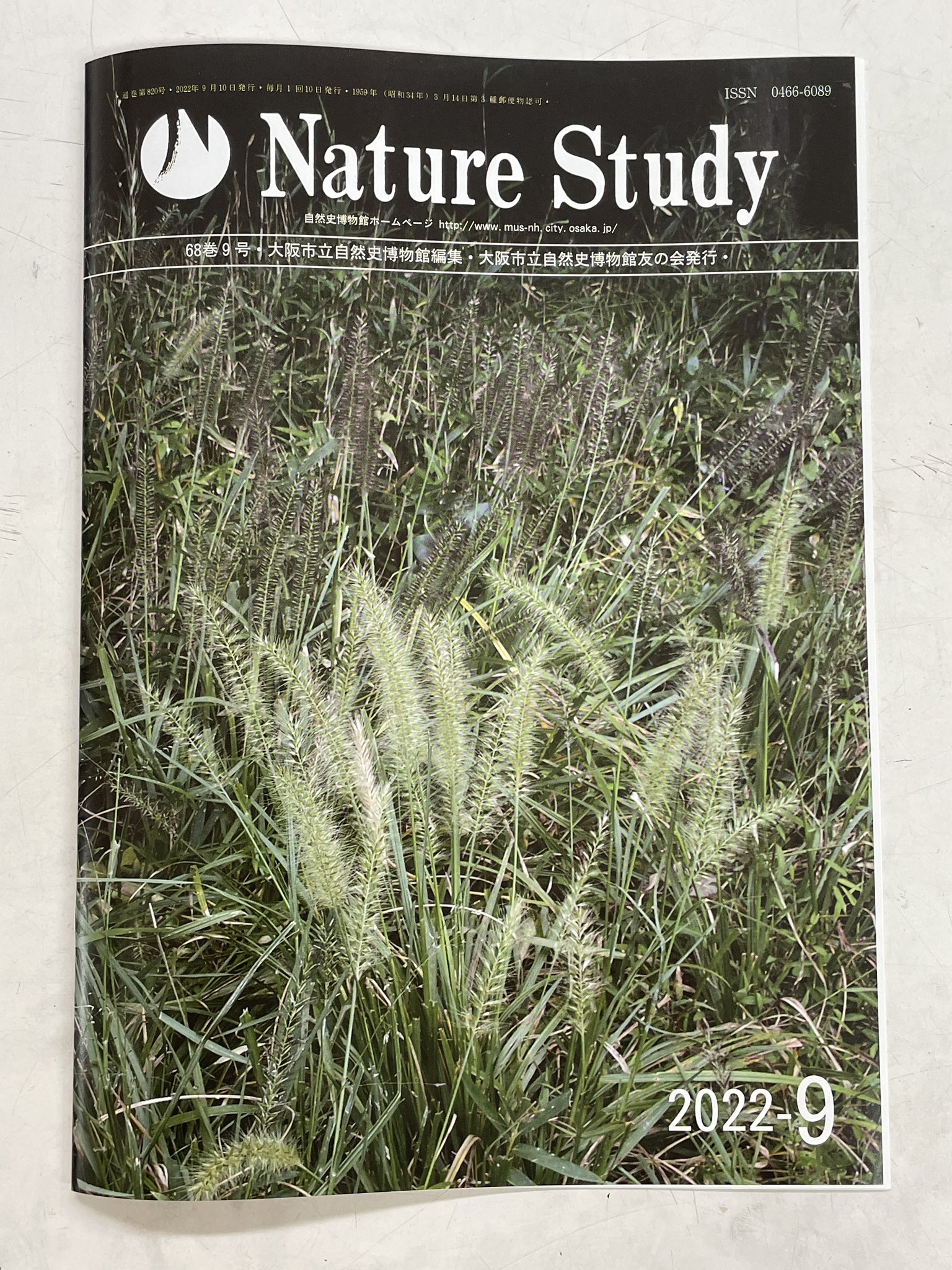 よこがわ on Twitter: "Nature Study 9月号が出版されました！表紙はアオチカラシバ！ちょっとマニアックですが、チカラシバの淡緑色のもので品種で分けられています。本号には ...