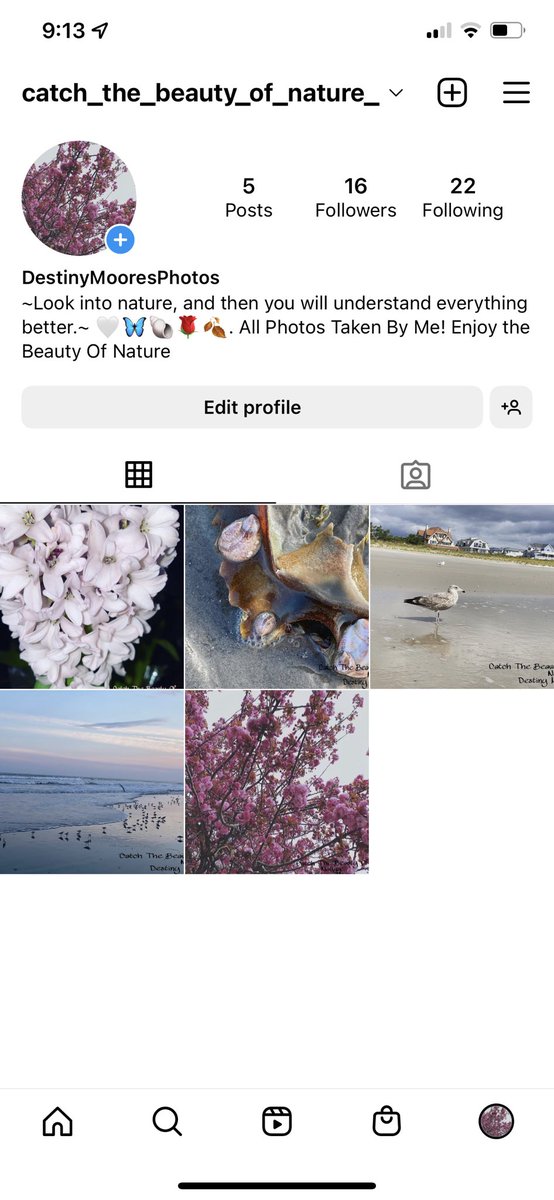 Destiny Moore Tumblr