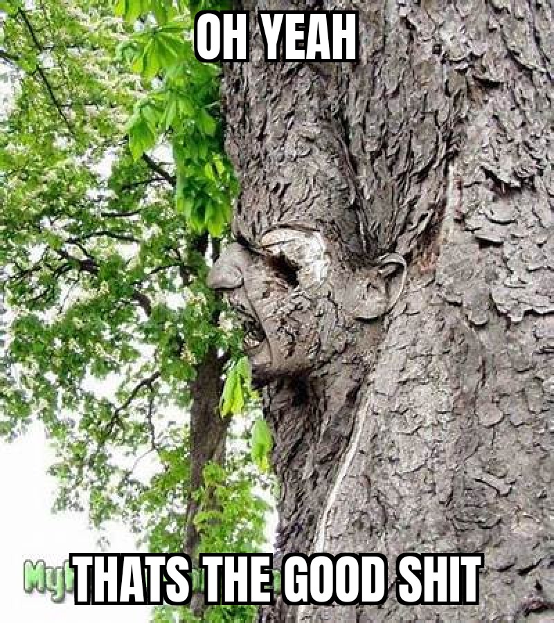 Well Shit Meme Well Shit : R/memes