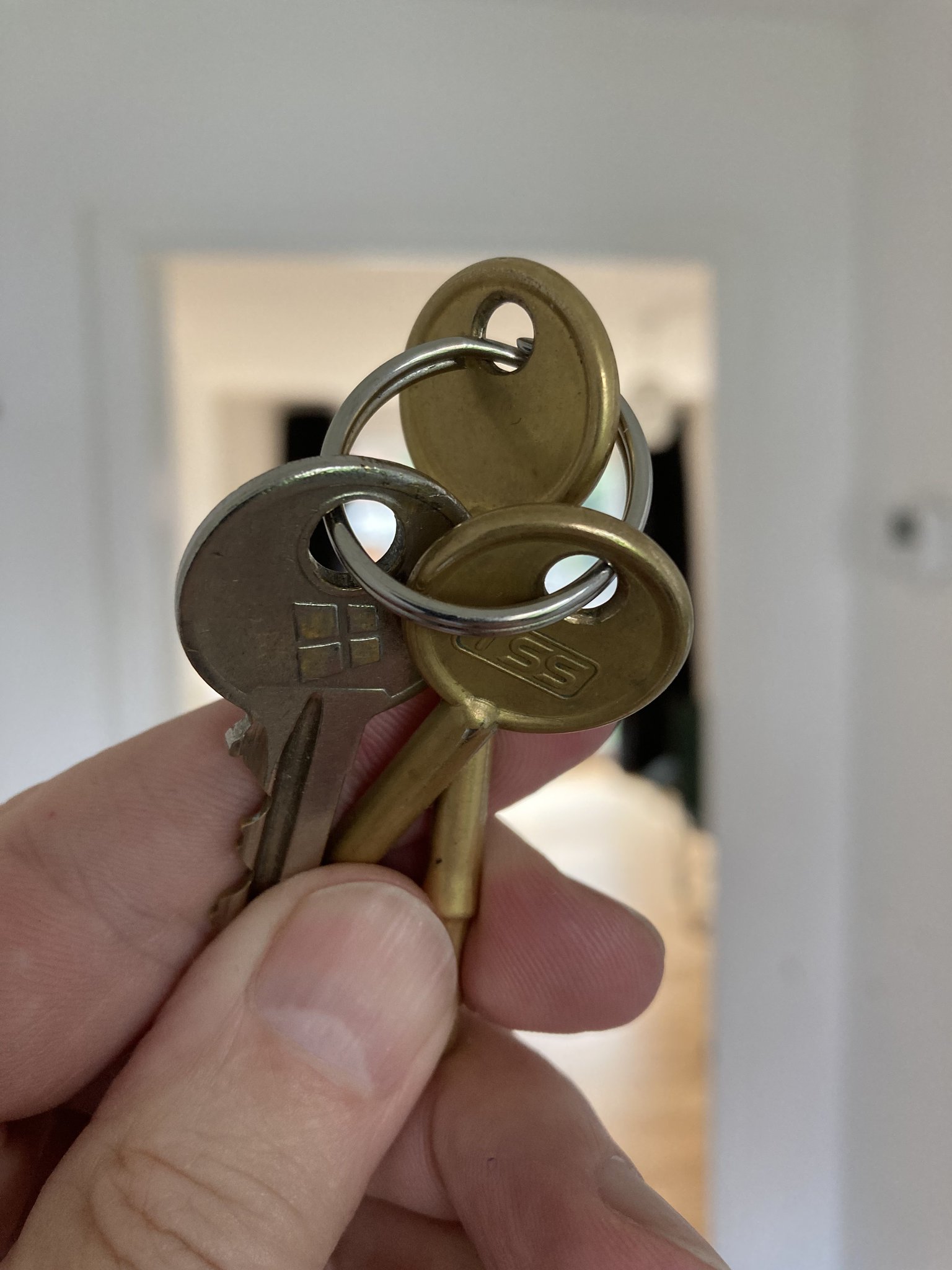 Cruising the Cut on Twitter: "https://t.co/nf6YZTT6G8" / Twitter