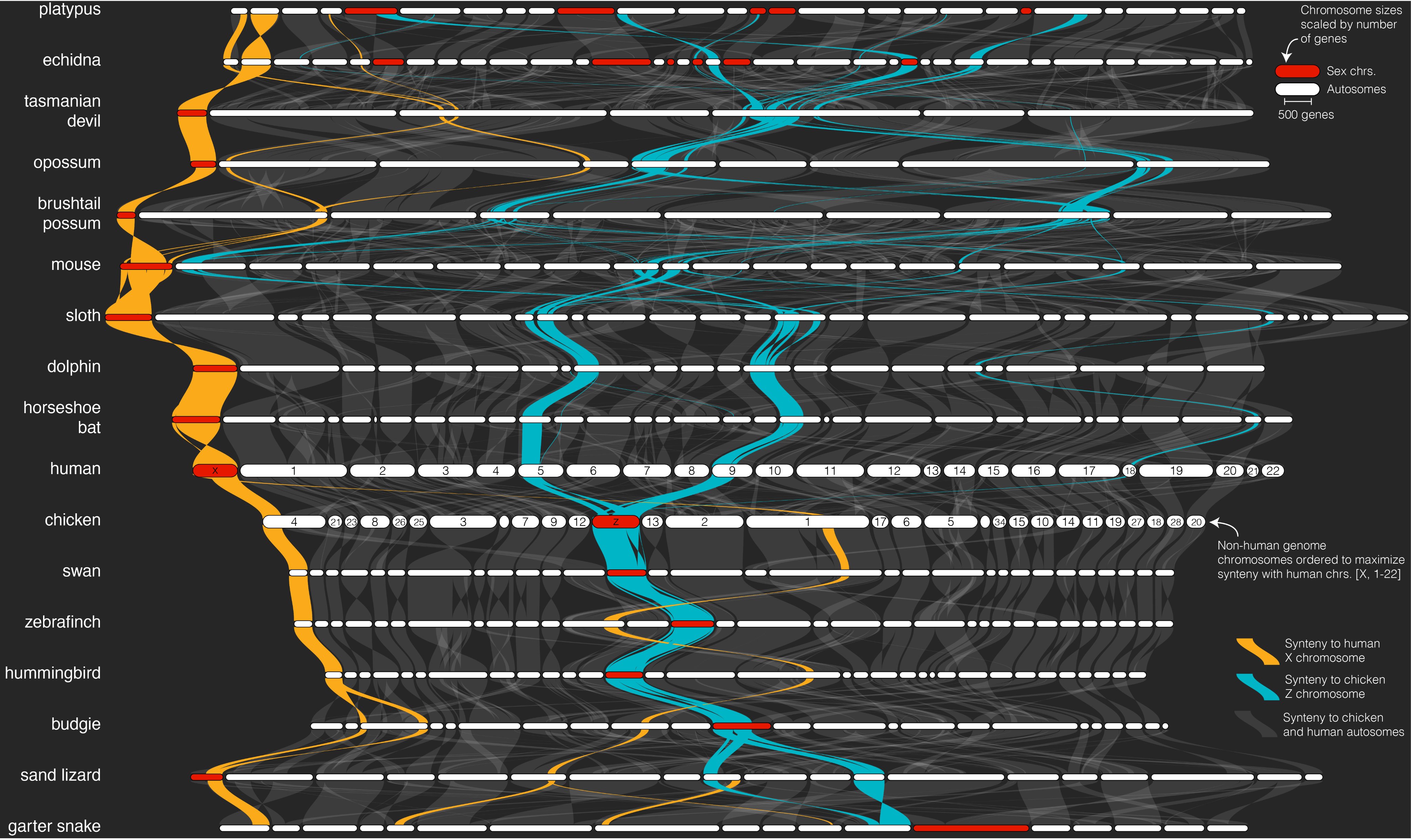 Yunha Hwang (@Micro_Yunha) / Twitter