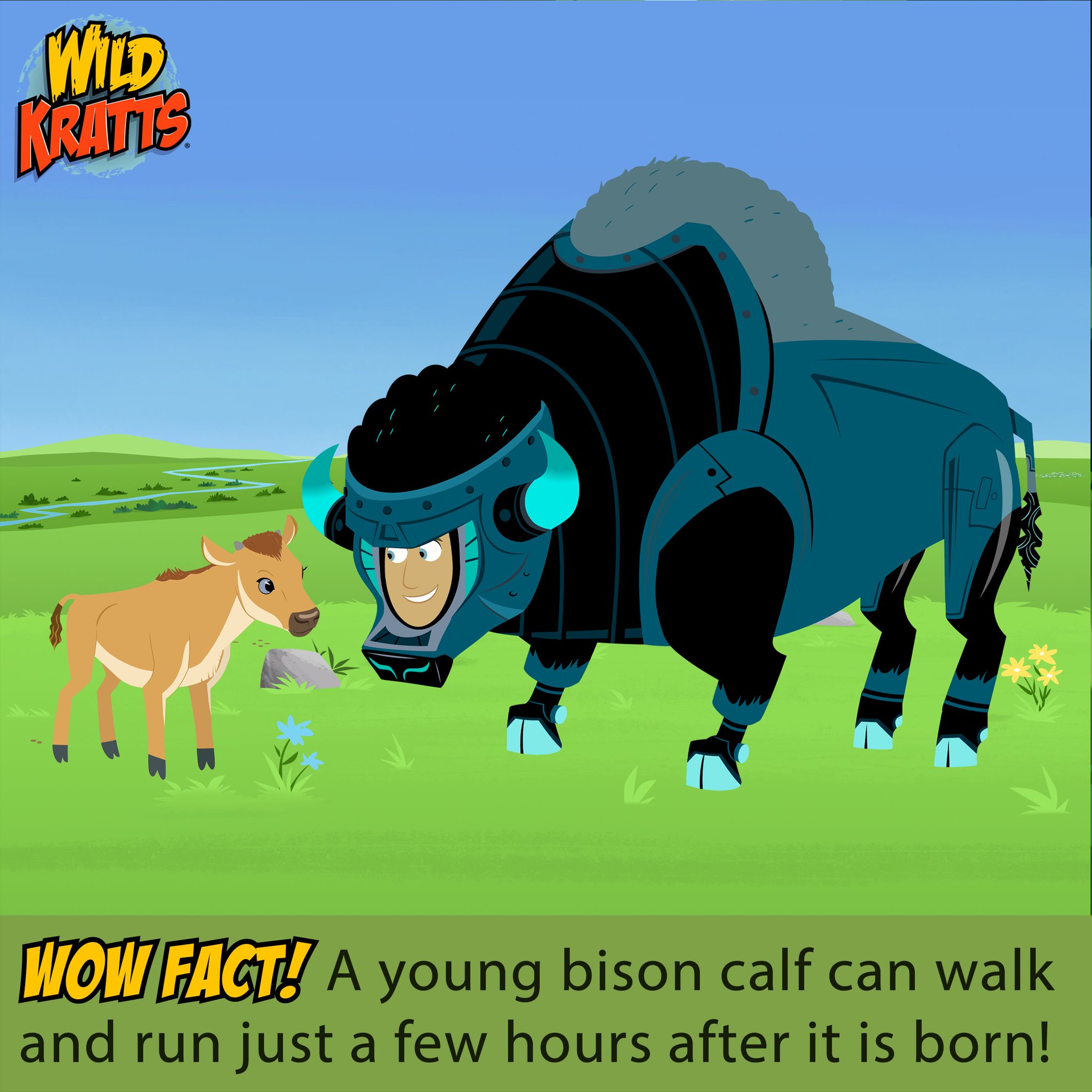 Wild Kratts Bison Disc