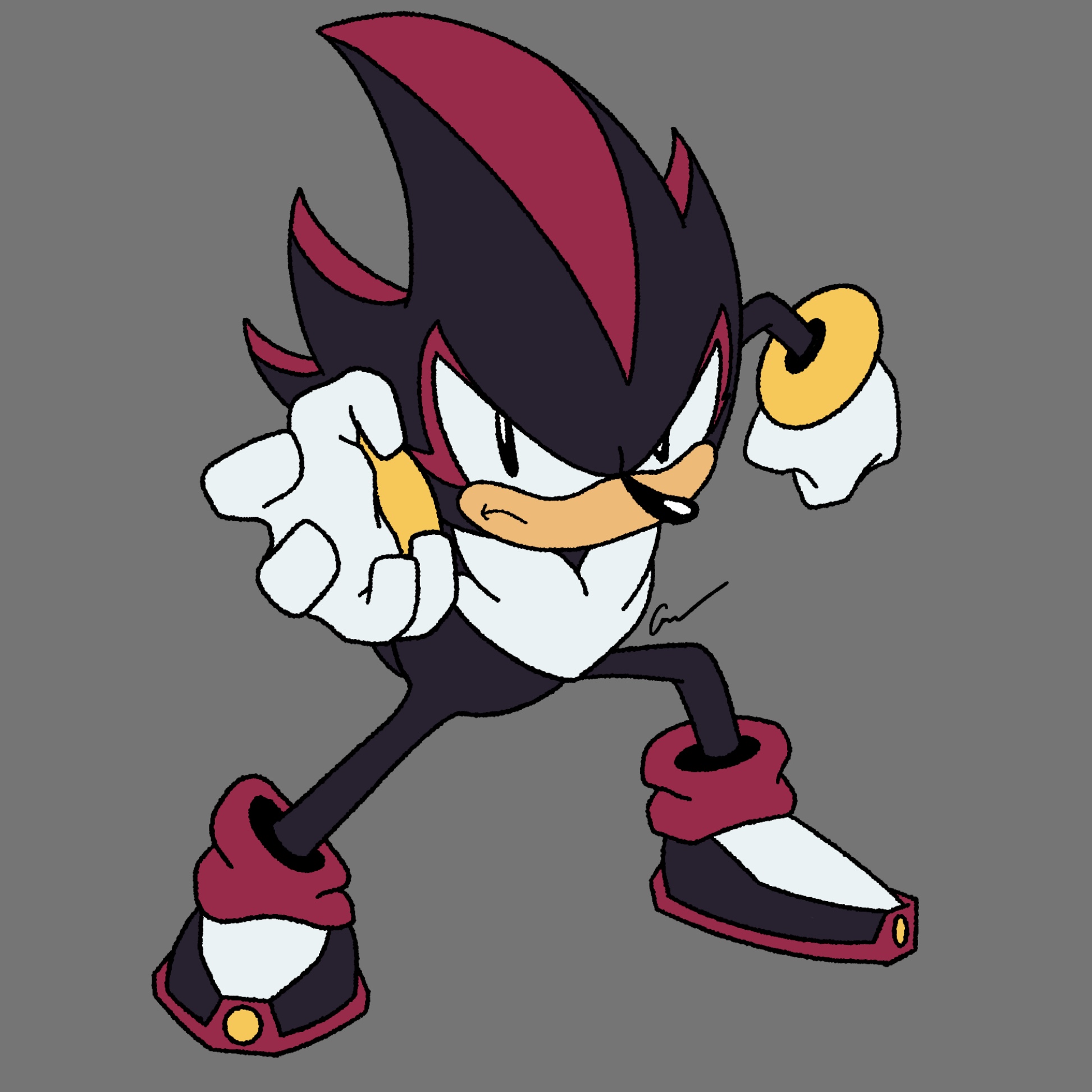 Sonic Shadow And The Night