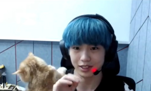 Shanghai Dragons on Twitter: "RT @emgtfy: VOID CAT"