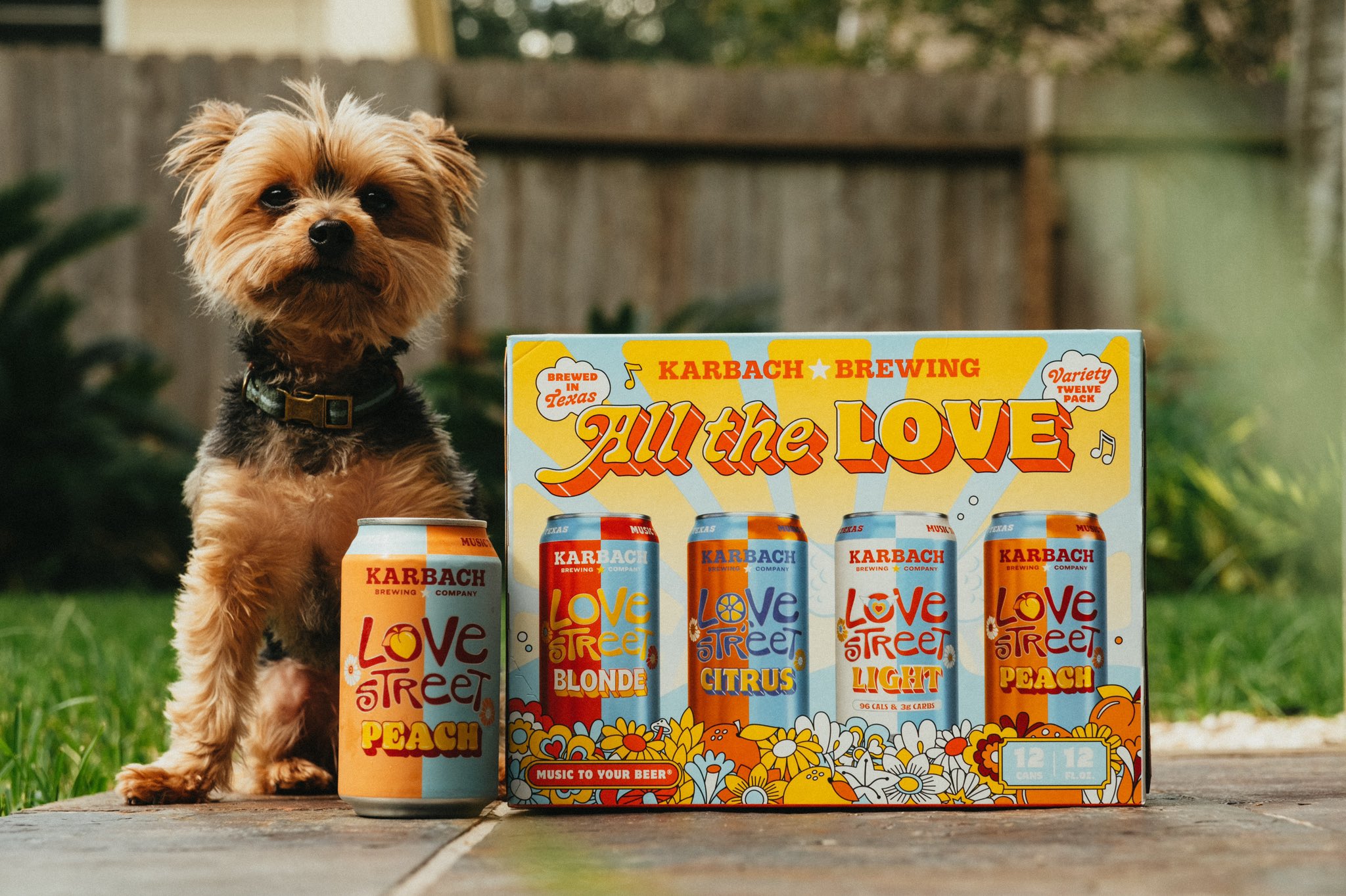 Why Do Dogs Love Beer