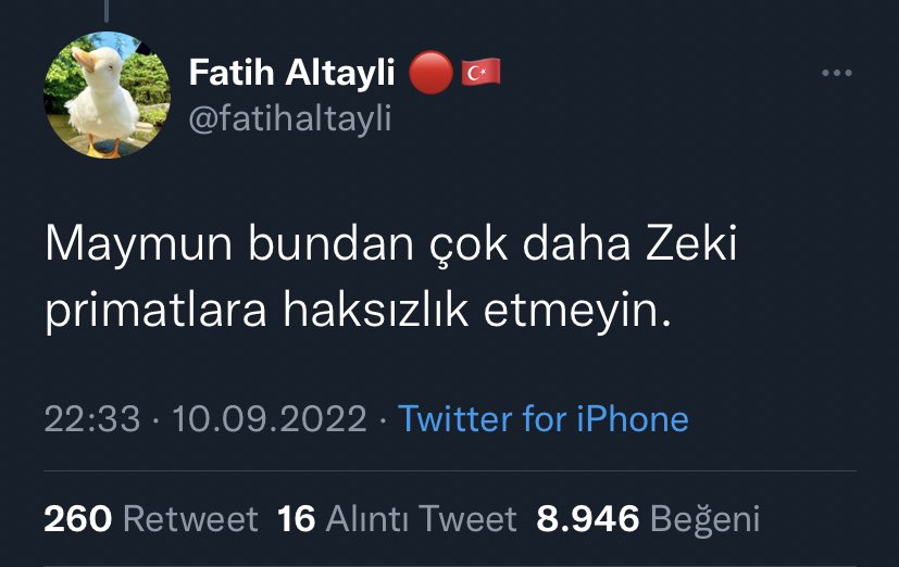 🎙 Muhbir on Twitter: 🎙 Muhbir on Twitter: