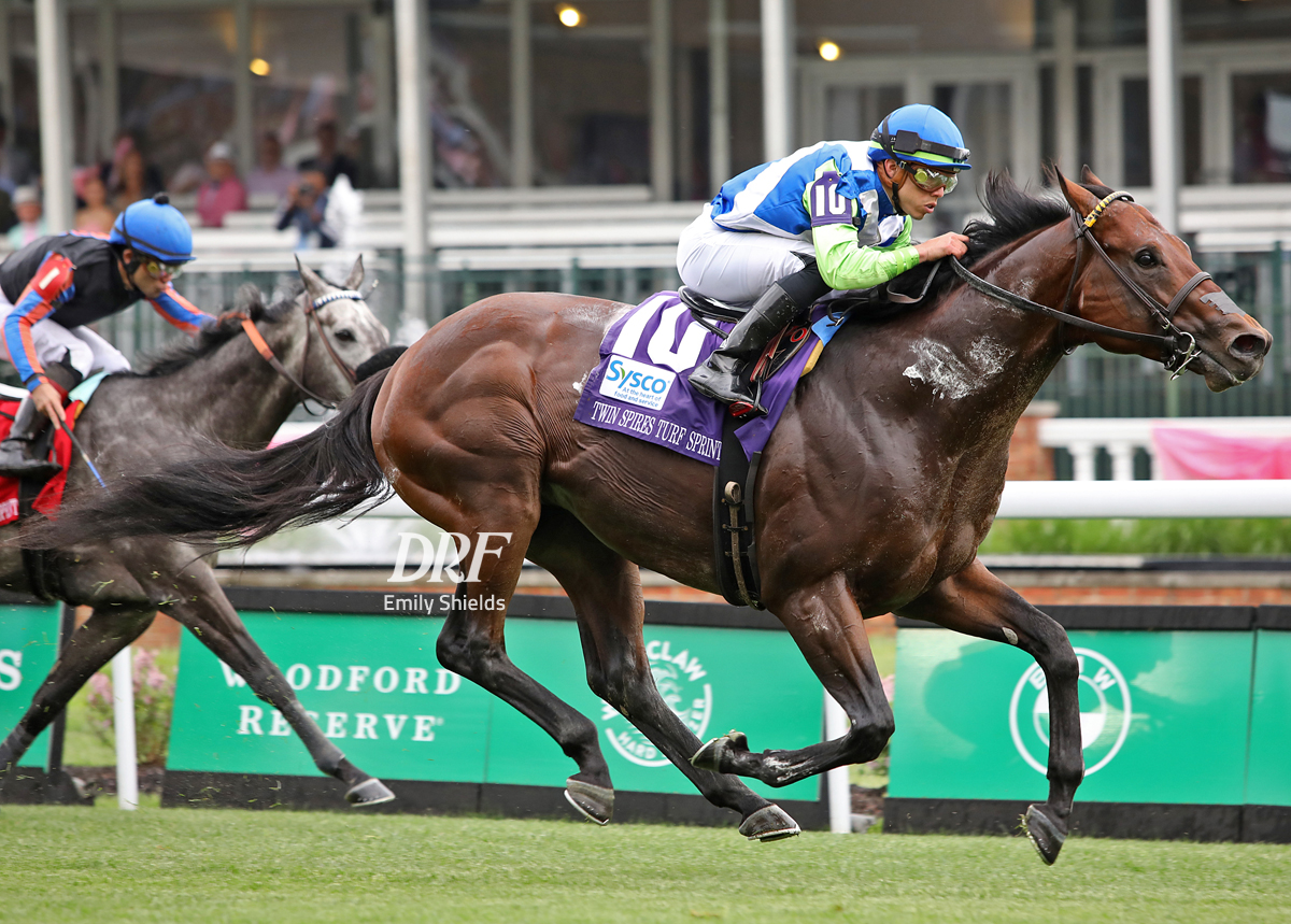 Daily Racing Form on Twitter: "Arrest Me Red favored in Turf Sprint for Wesley Ward. Read: https ...