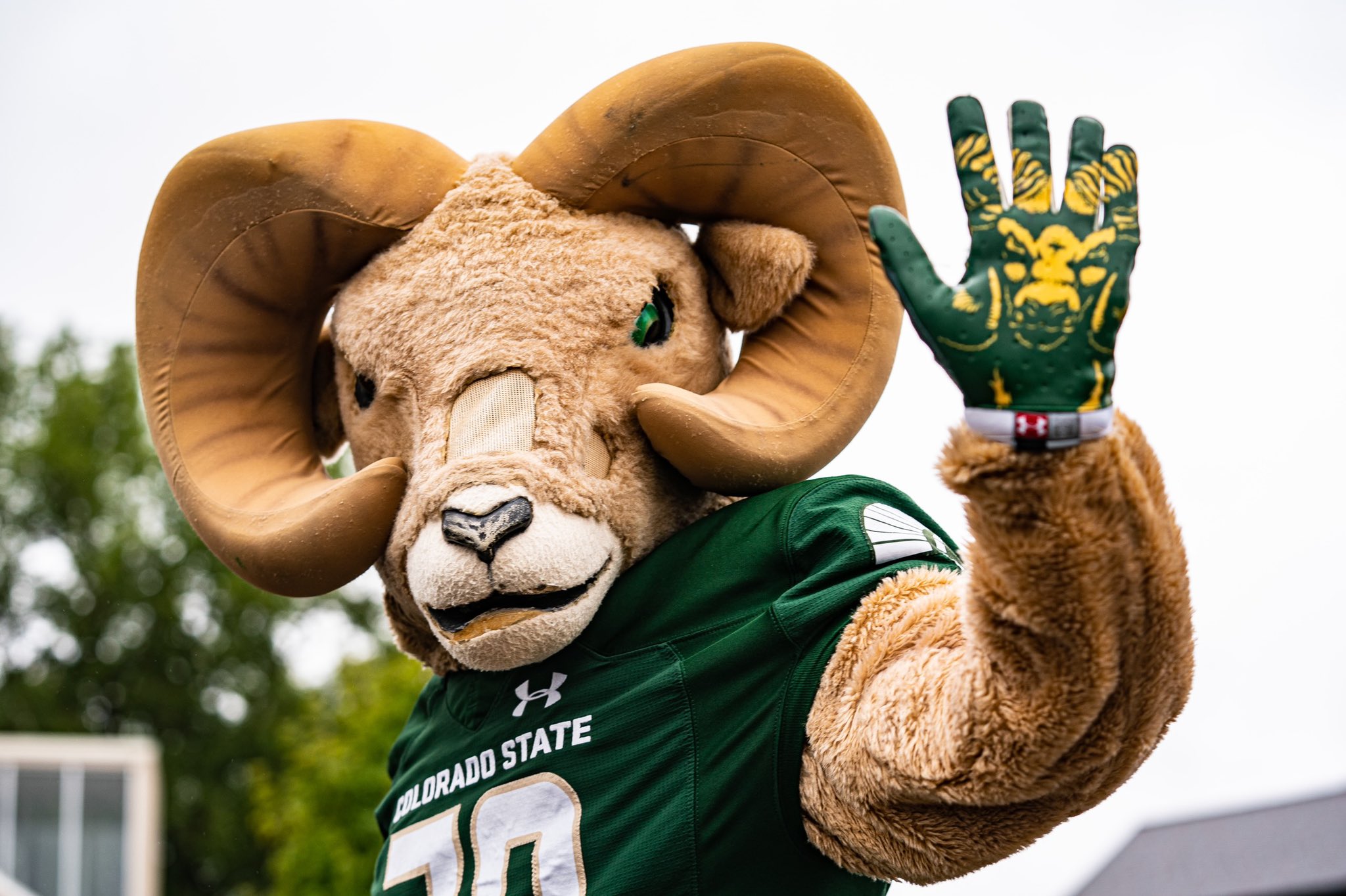 Colorado State University Mascot