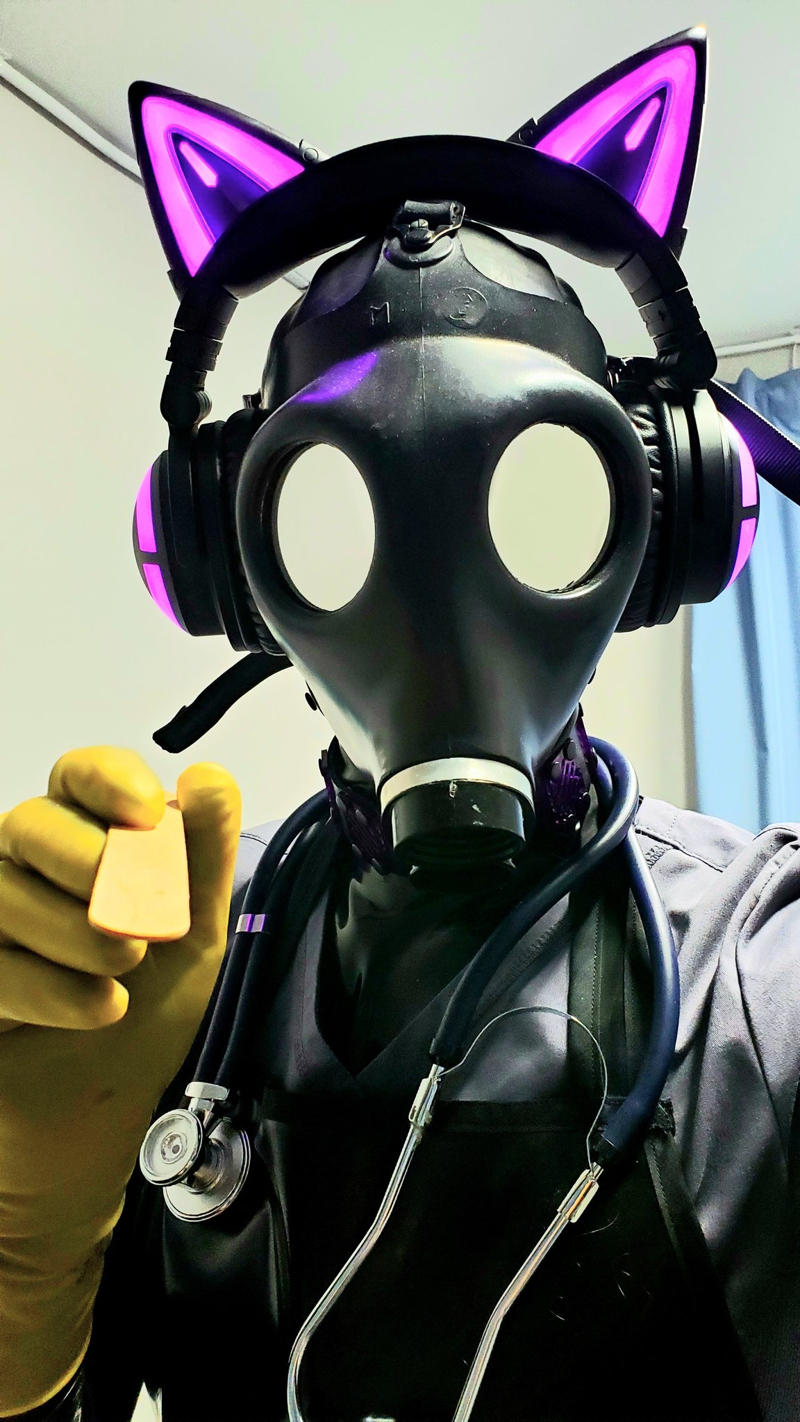 Foxx🦊Palomar ️MFF 2022 on Twitter: "0309 :: open wide and say ahh! #squeakysaturday https://t.co ...