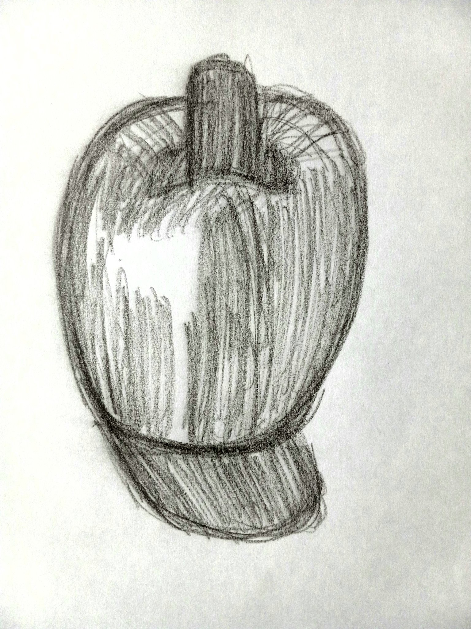 Apple Pencil Sketch