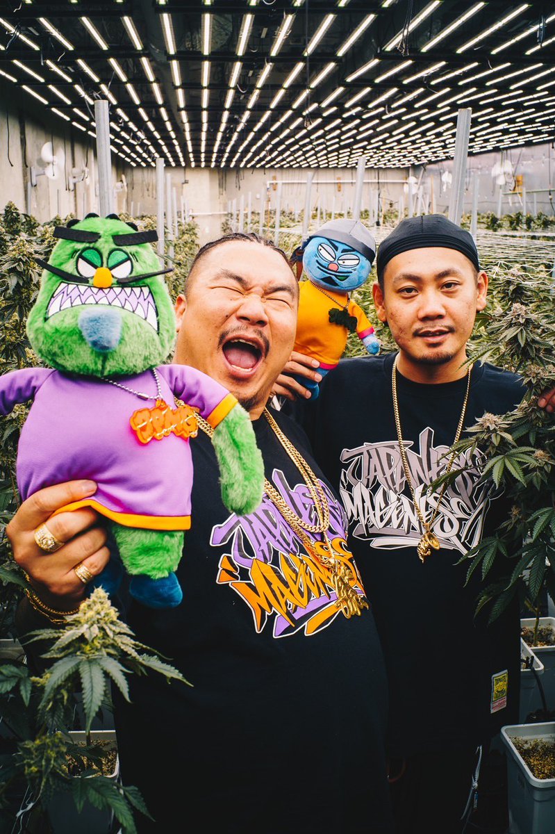孫GONG в X: „火着ける時聞いて🔥 最高にゆっくり出来るで 孫GONG в X: „火着ける時聞いて🔥 最高にゆっくり出来るで