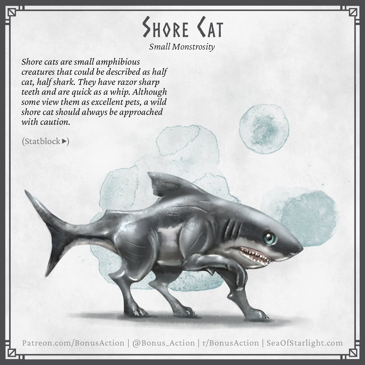 Half Cat Half Shark