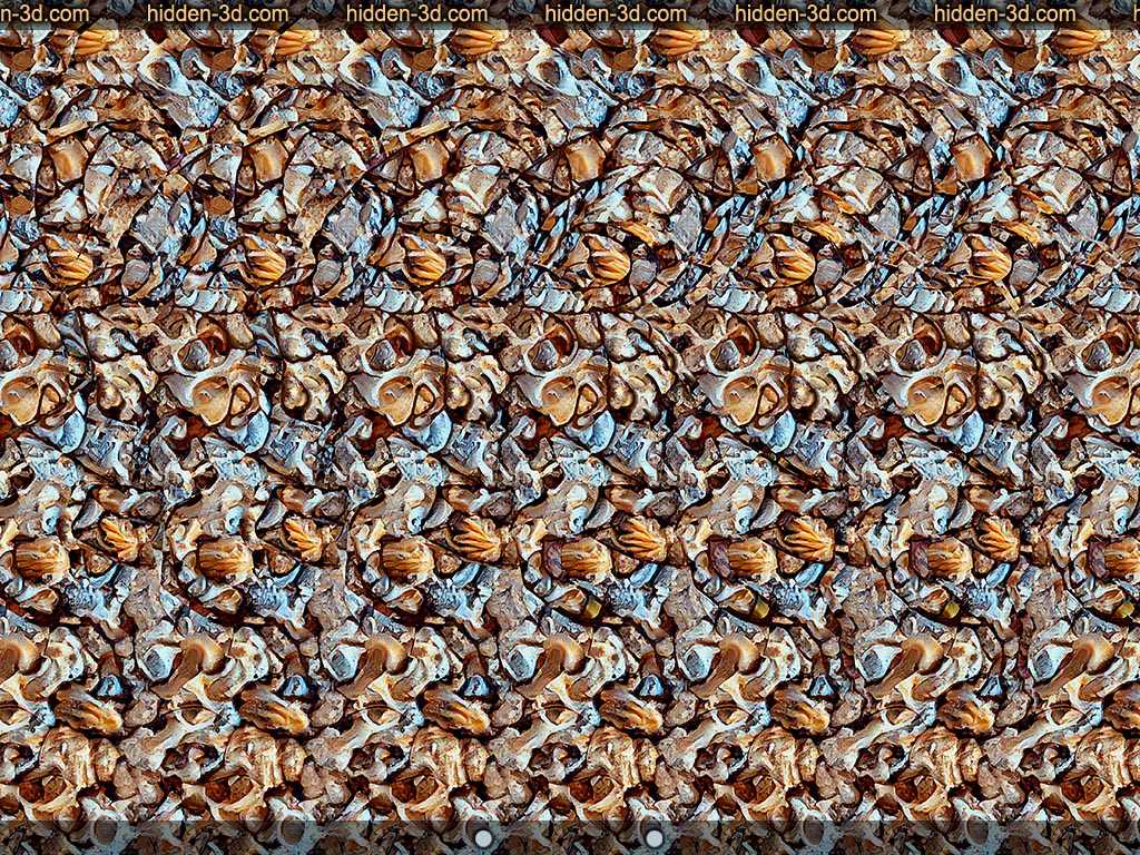 Hidden 3D Stereograms on Twitter: "Nature is Metal And the answer to the last week image is ...