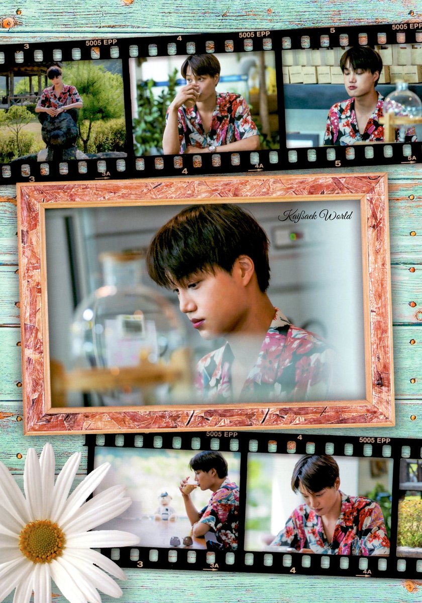 JONGIN BRASIL 🌿🧸 on Twitter: "SCAN 📸| Photobook do DVD KAI's Bucket List 🪣📝 #KAI #카이 @weareoneEXO"