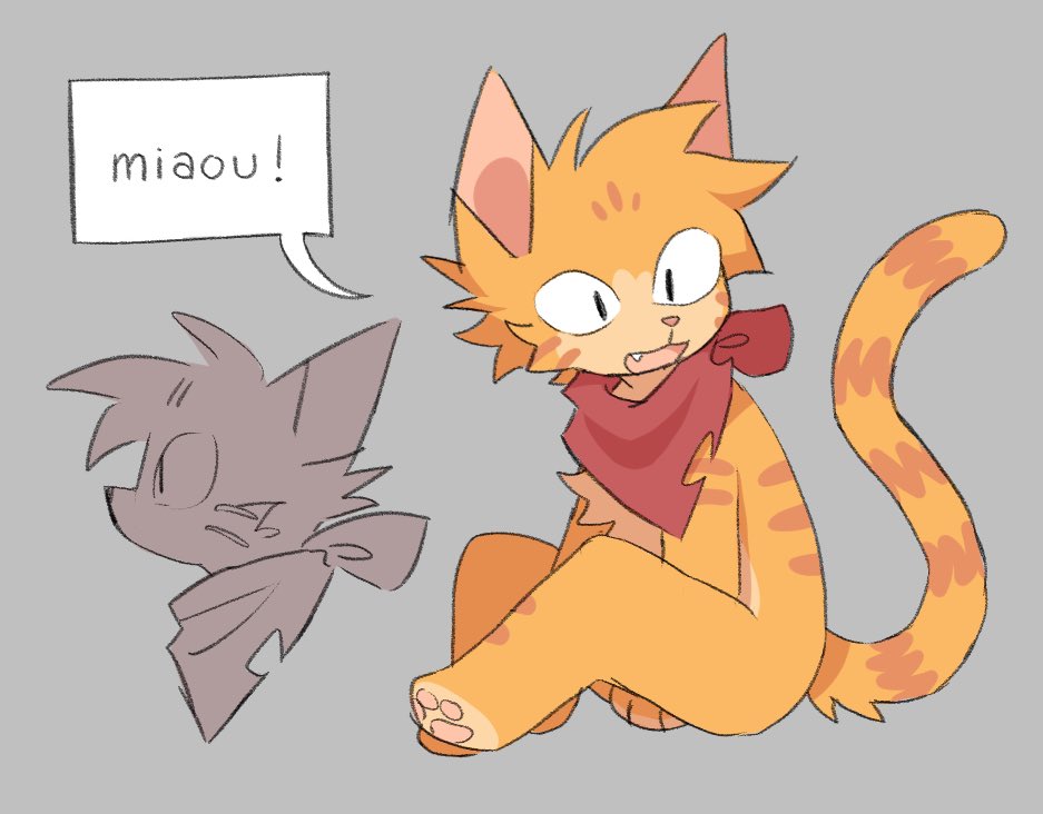 -ʟʟᴏʀᴀ- on Twitter: "Miau"