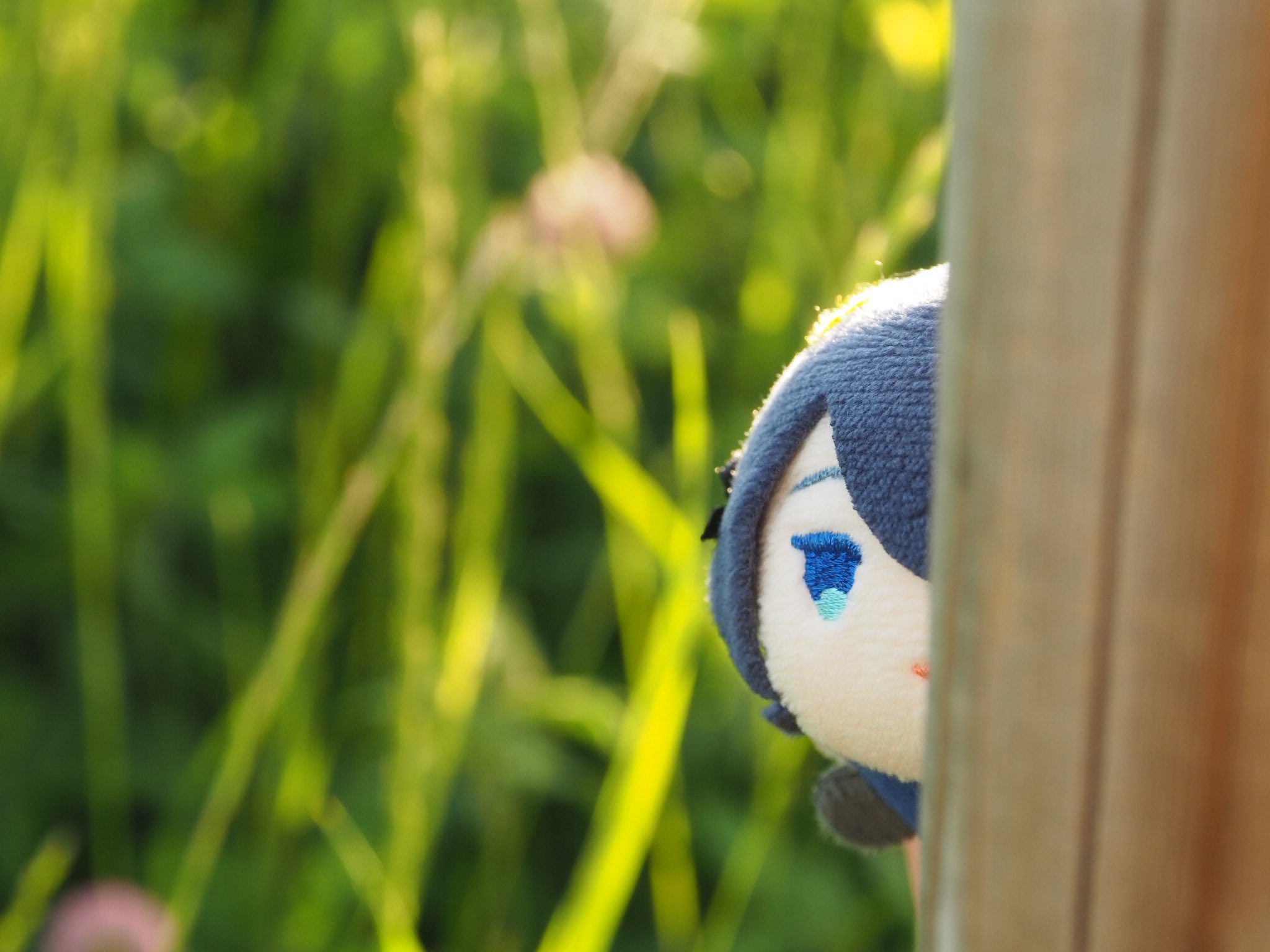 ame_maru on Twitter: "心が荒んだ時には、もちちか https://t.co/Q9xSpduv05" / Twitter