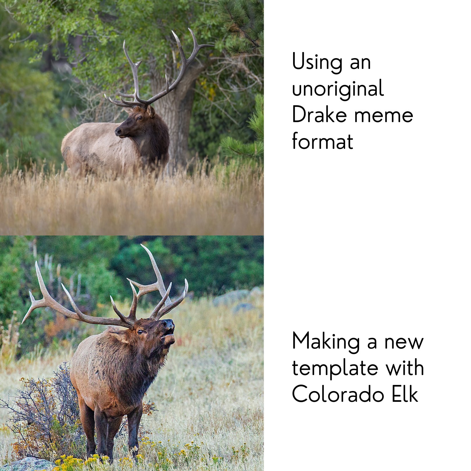 Colorado Mountains Meme