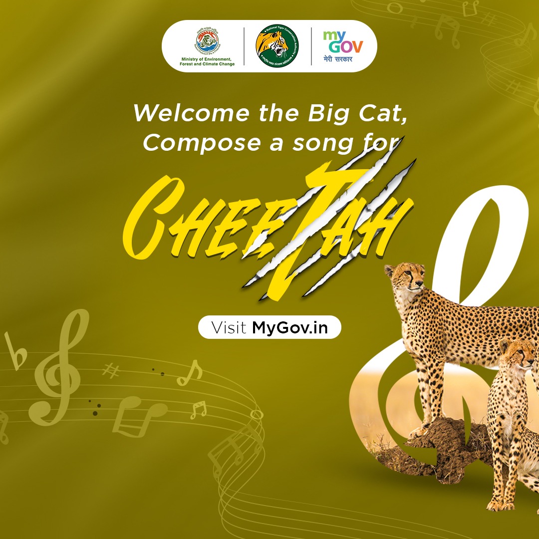 MyGovIndia on Twitter: "The Countdown has begun for welcoming cheetahs in India! Can you compose ...