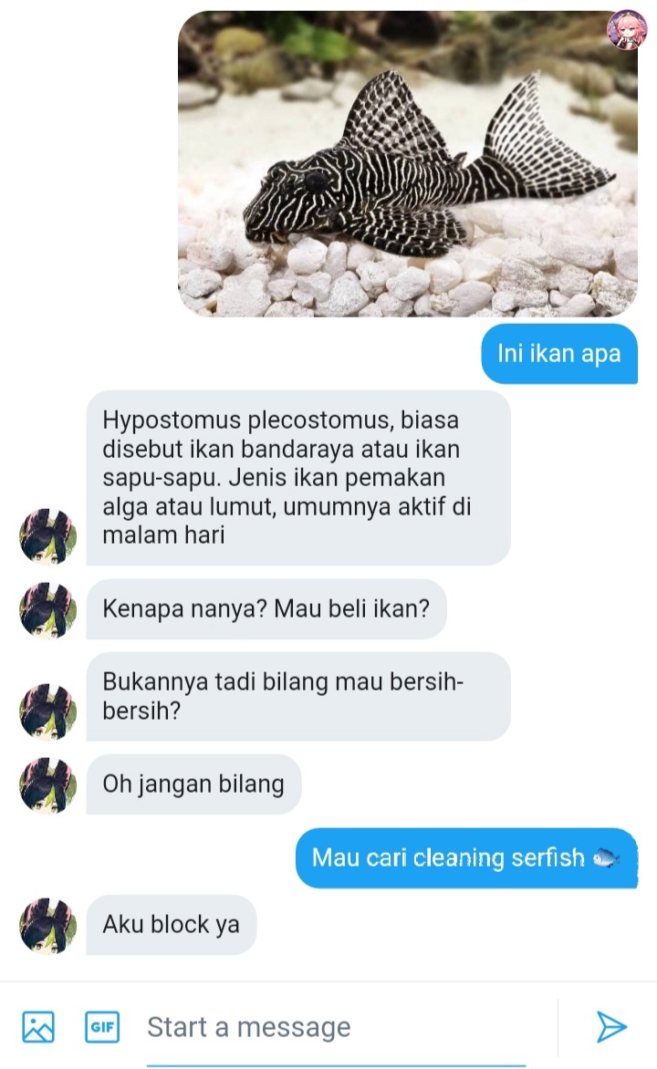 GABUNG KOMUNITAS FANFIC 📌 on Twitter: "au! cw // bxb bl ship cynonari cyno x tighnari Bersih-bersih"