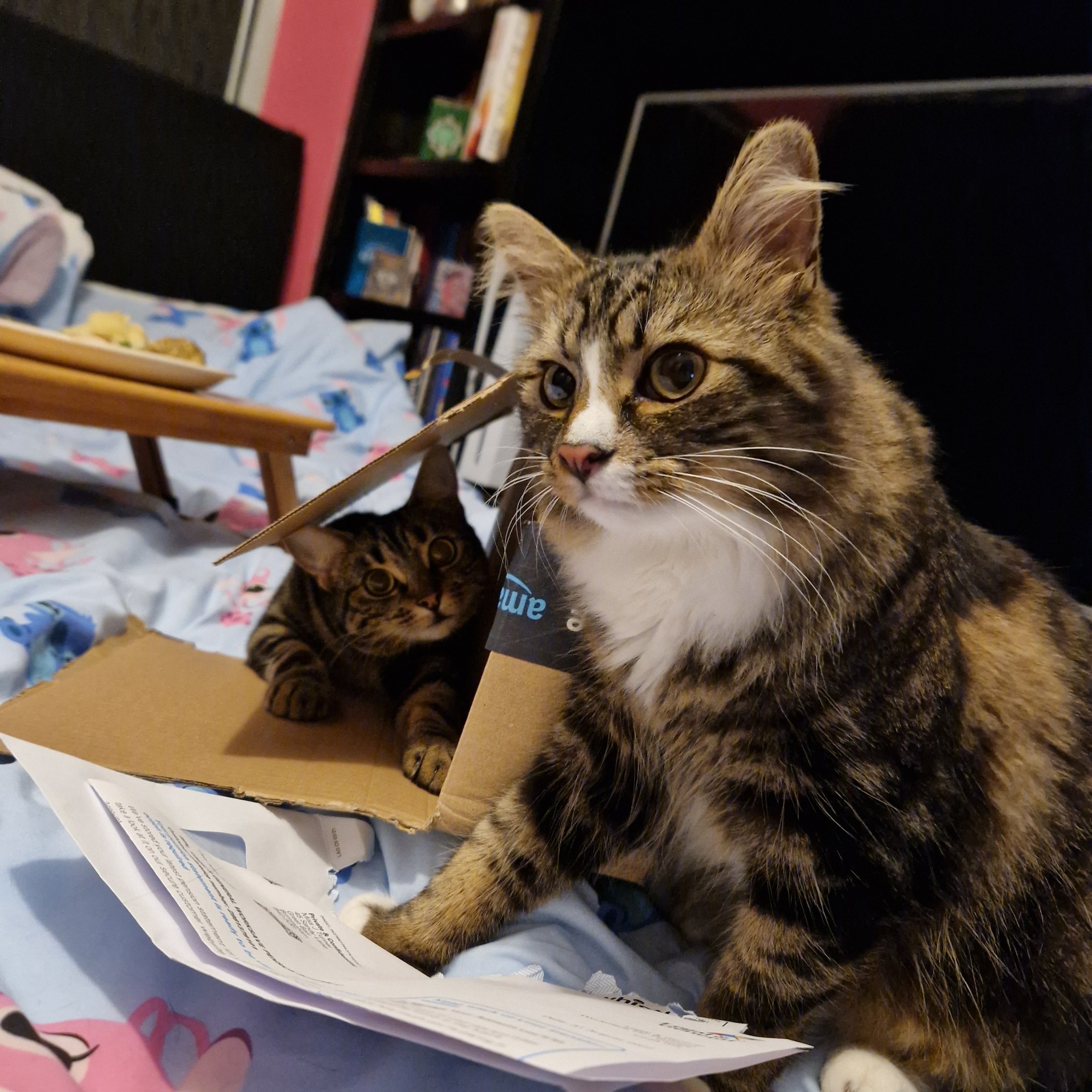 Jamie-Lee Turner on Twitter: "@ellle_em https://t.co/jogdpCPCXW" / Twitter