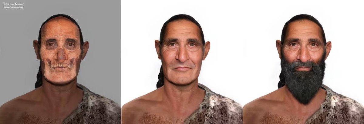 Pairwise FST genetic distances to Russia Yamnaya Samara (Early Bronze ...