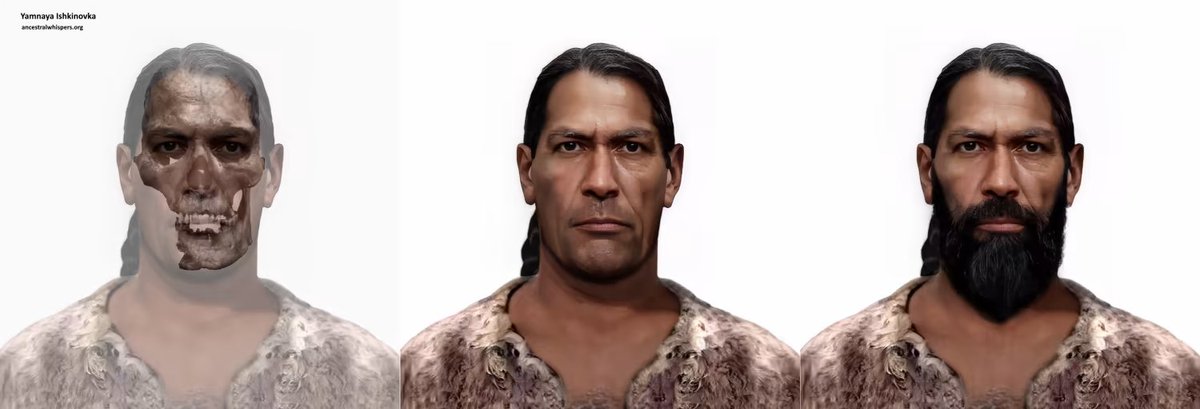 Pairwise FST genetic distances to Russia Yamnaya Samara (Early Bronze ...