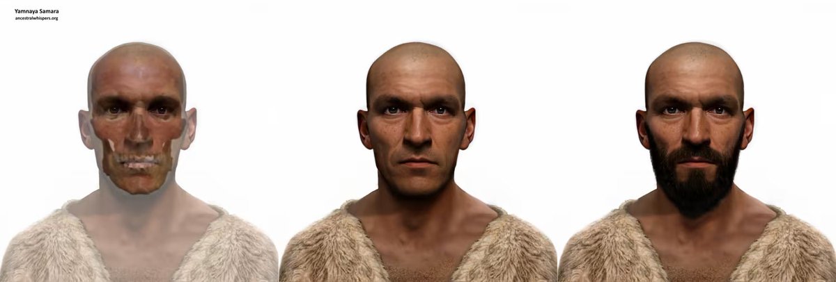 Pairwise FST genetic distances to Russia Yamnaya Samara (Early Bronze ...