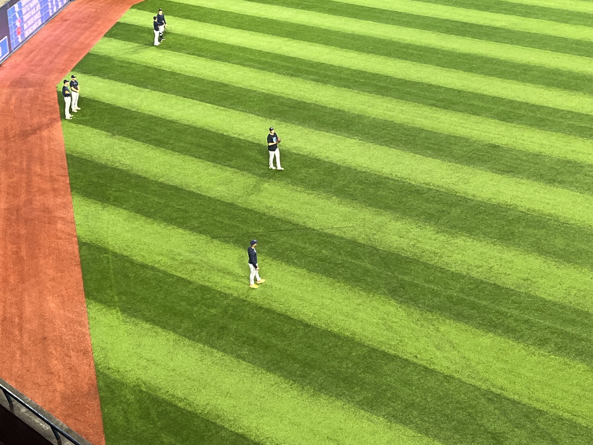 Baseball Field Grass Texture