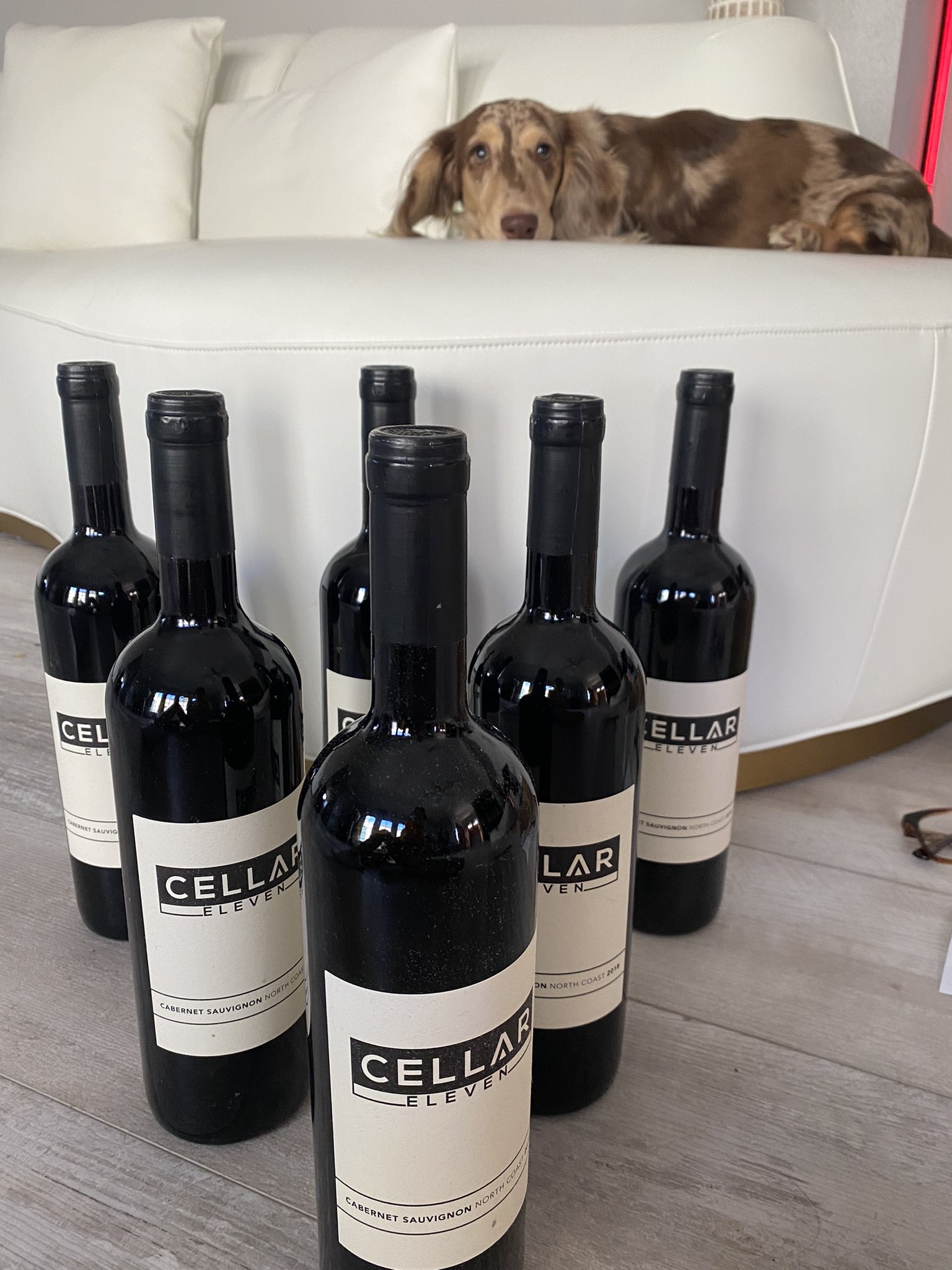 TW Pornstars - 2 pic. Reagan Foxx. Twitter. I’m super touched. 🥰 Thank ...