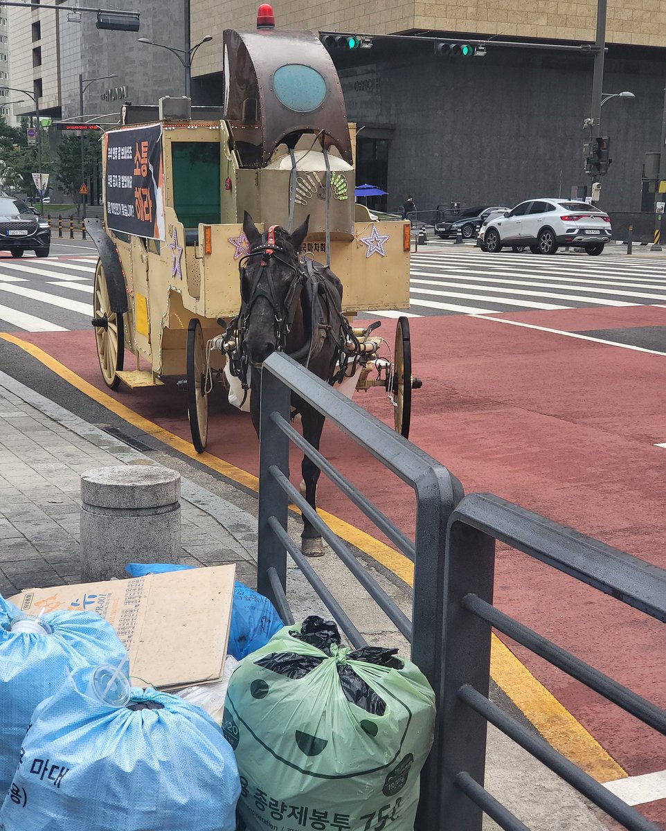 네네카 전용 촉수생물 H-Modeler on Twitter: "RT @SnackerH: 그레이스짱"