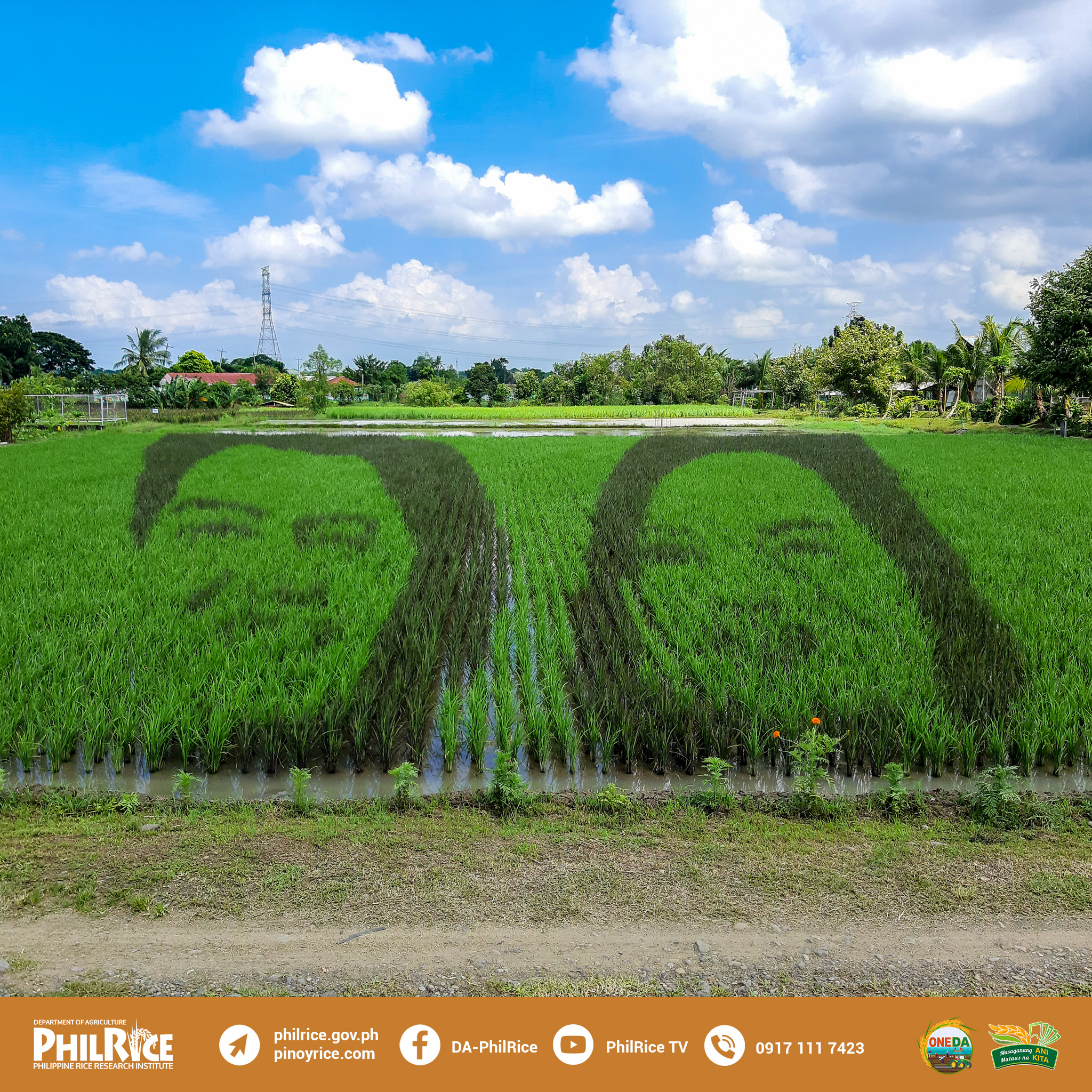 Inquirer on Twitter: "LOOK: In celebration of President Ferdinand Marcos Jr.'s 65th birthday ...